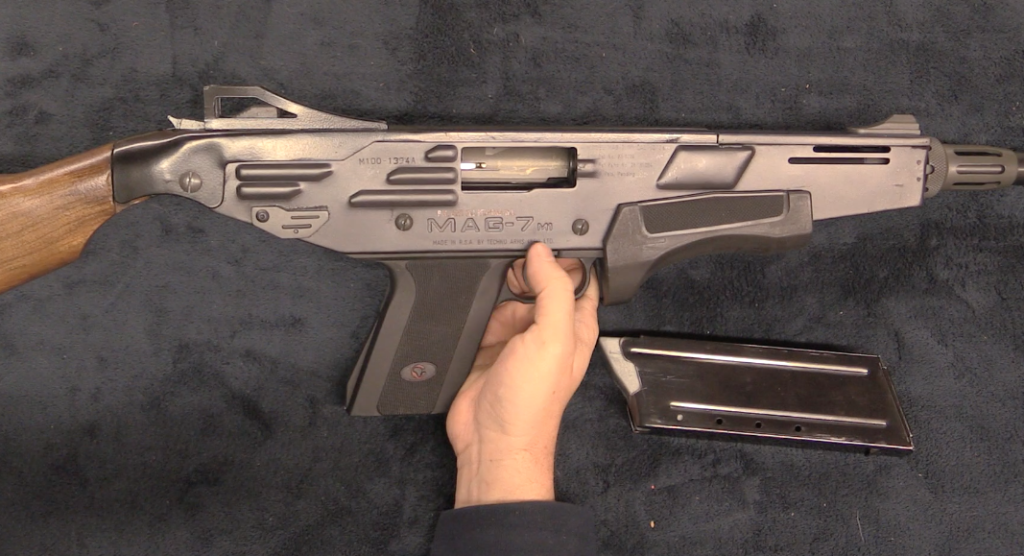 Neostead 2000 Dual-Tube Pump Shotgun