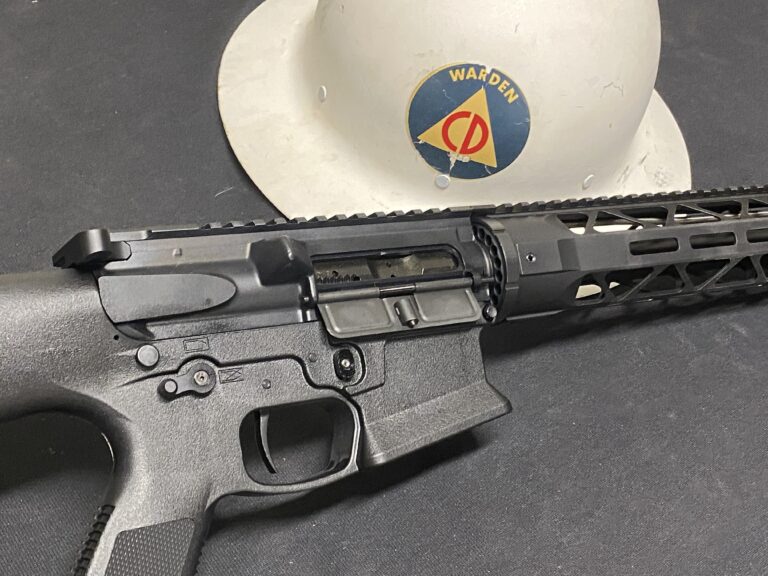 SIG P320 Flux Legion / Flux Raider: The Best Pistol-PDW System Yet ...