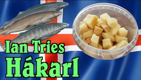 Iceland | Forgotten Weapons