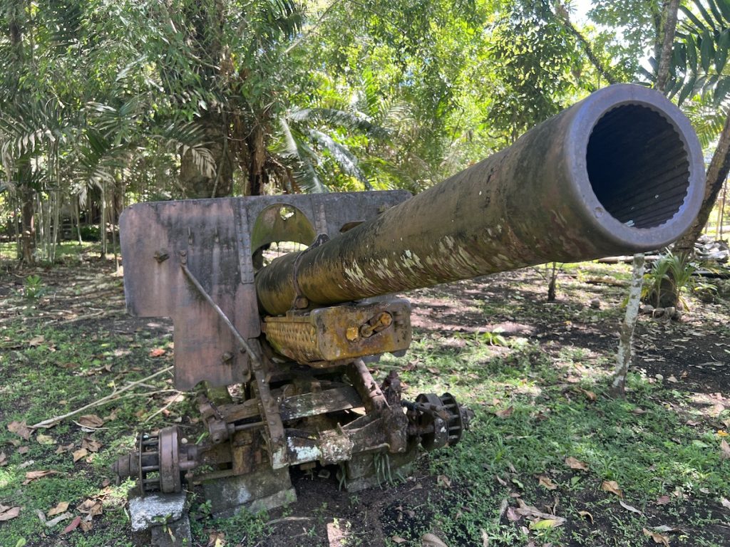 Type 89 Knee Mortar at James D Julia - Forgotten Weapons