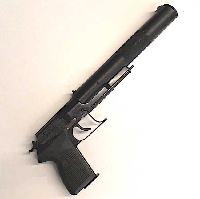 MSBS Grot: The Complete History of Poland’s New Army Rifle - Forgotten ...